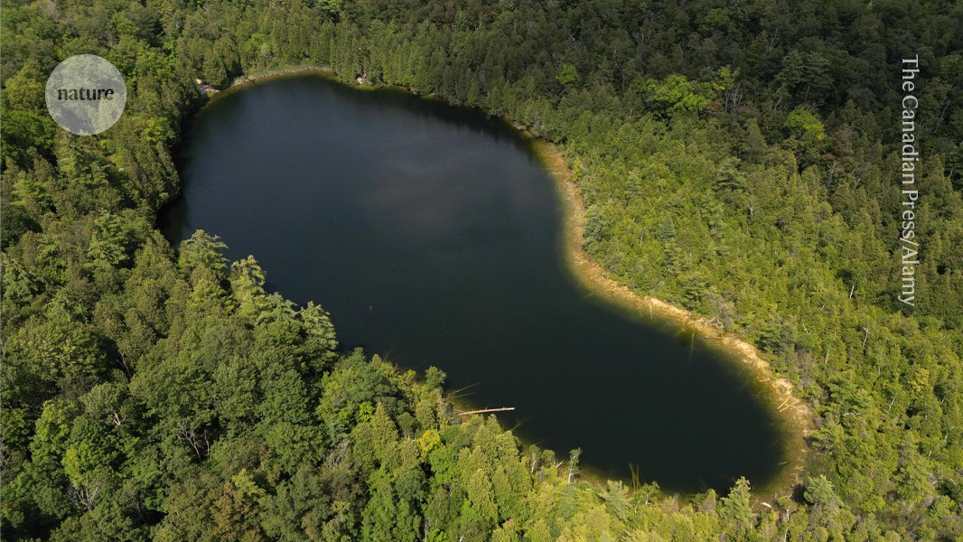 Geologists reject the Anthropocene as Earth’s new epoch — after 15 ...