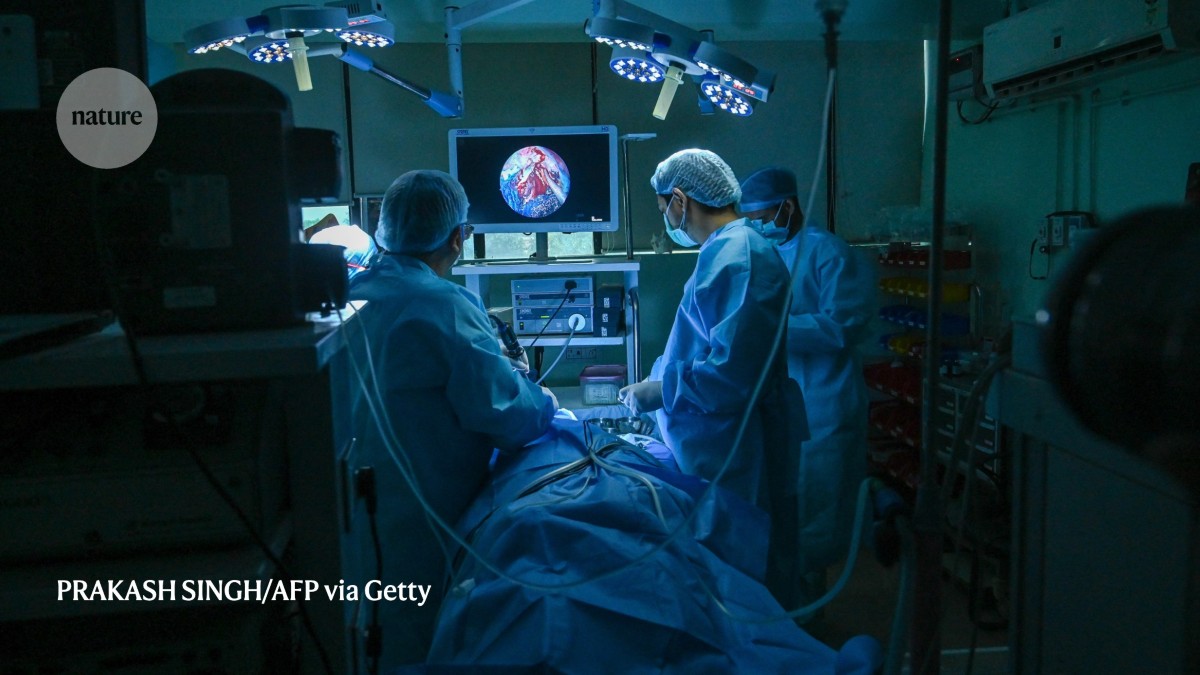 Fungal diseases are spreading undetected