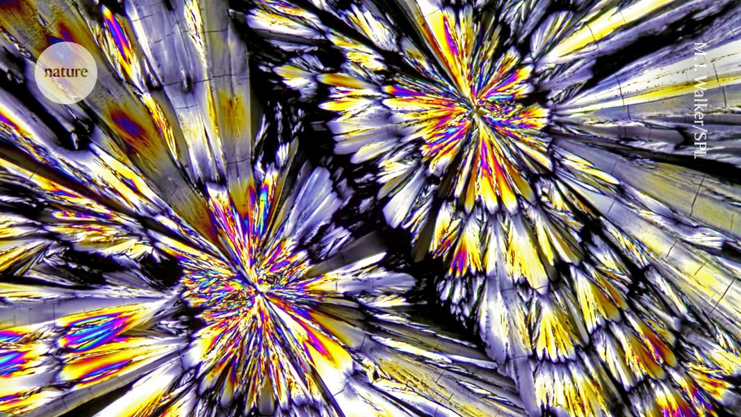 Ketamine is in the spotlight thanks to Elon Musk — but is it the right ...