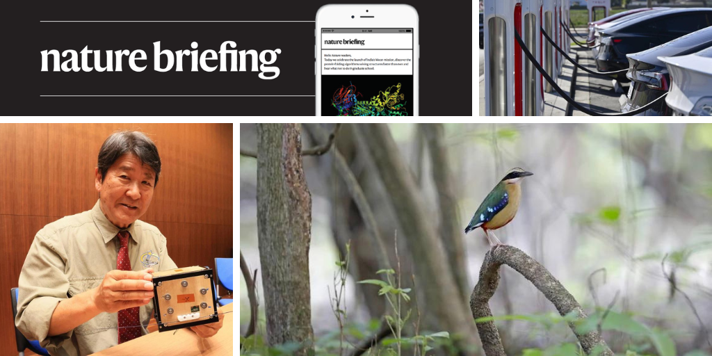 Daily briefing: How to figure out which climate-change policies really work