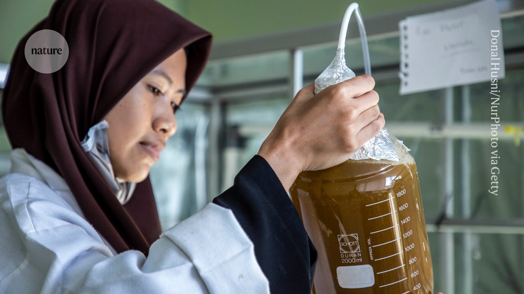 Open access is working — but researchers in lower-income countries ...