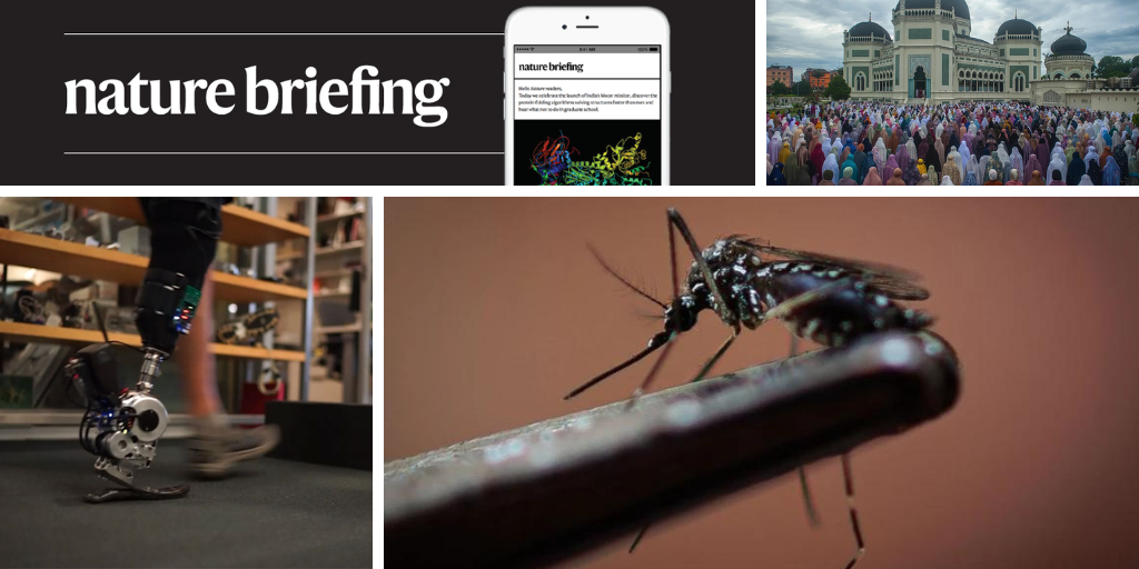 Daily briefing: Bionic leg moves like a natural limb