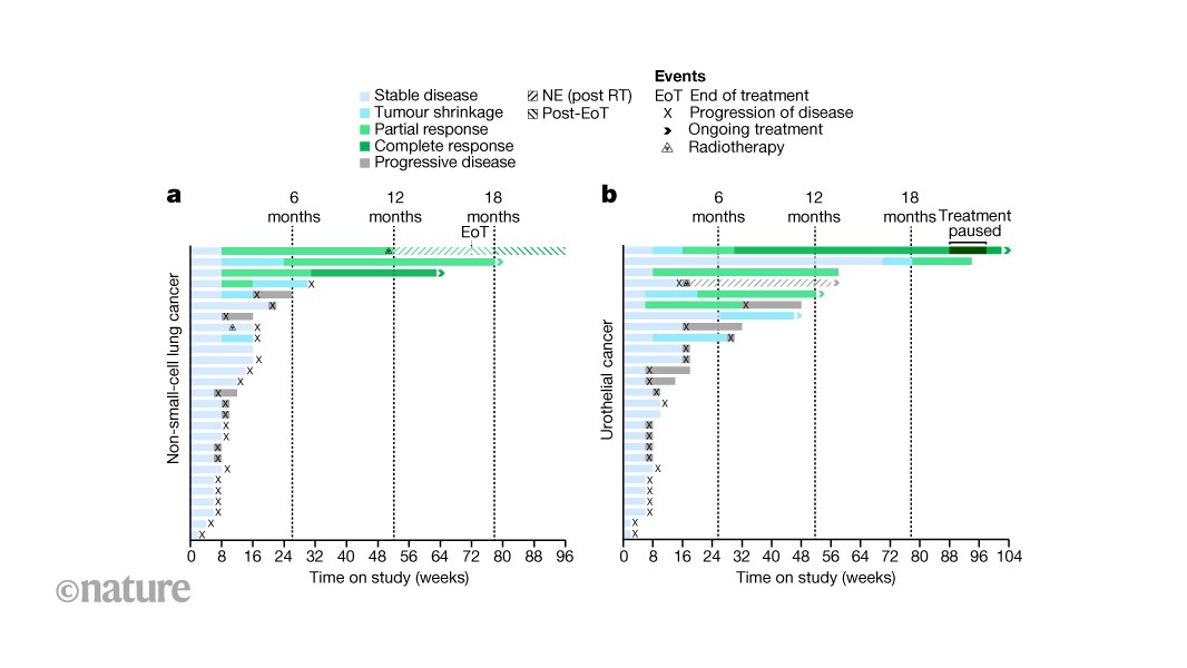 Reversing resistance to cancer immune therapy with antibodies that ...