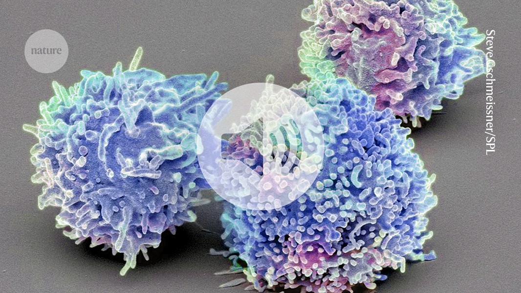 Immunity gets a boost from a surprising place — breakfast