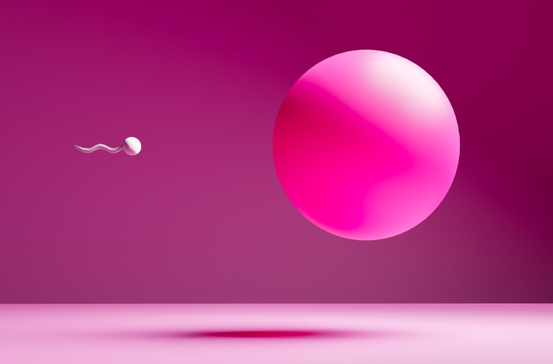 Impact of cancer immunotherapy on female fertility