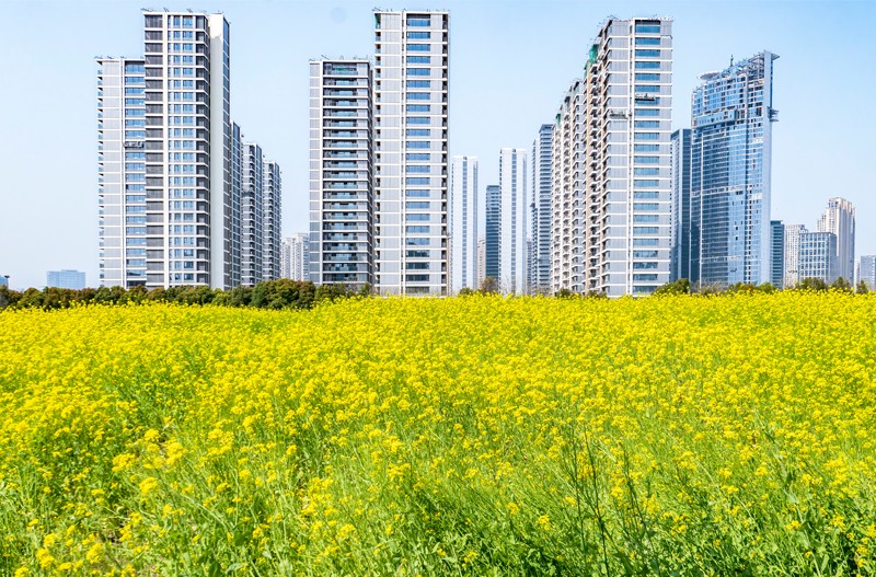 Effects of urban versus rural living on child development