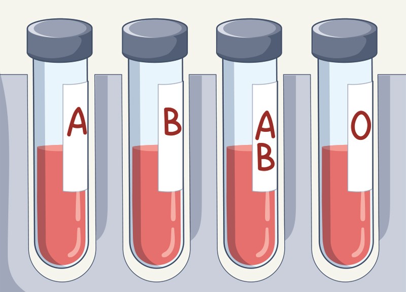 Types Of Bacteria In Blood
