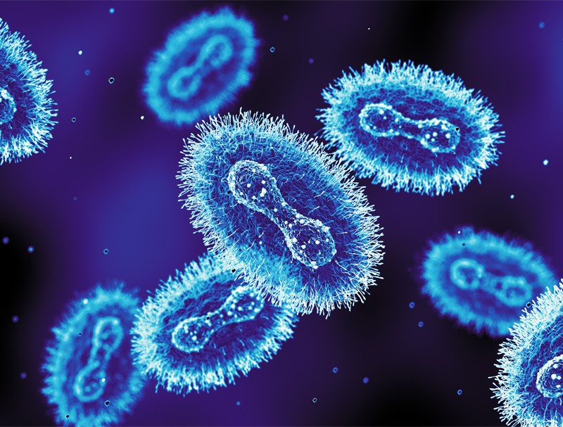 Mpox infection in pregnancy linked to high risk of adverse outcomes