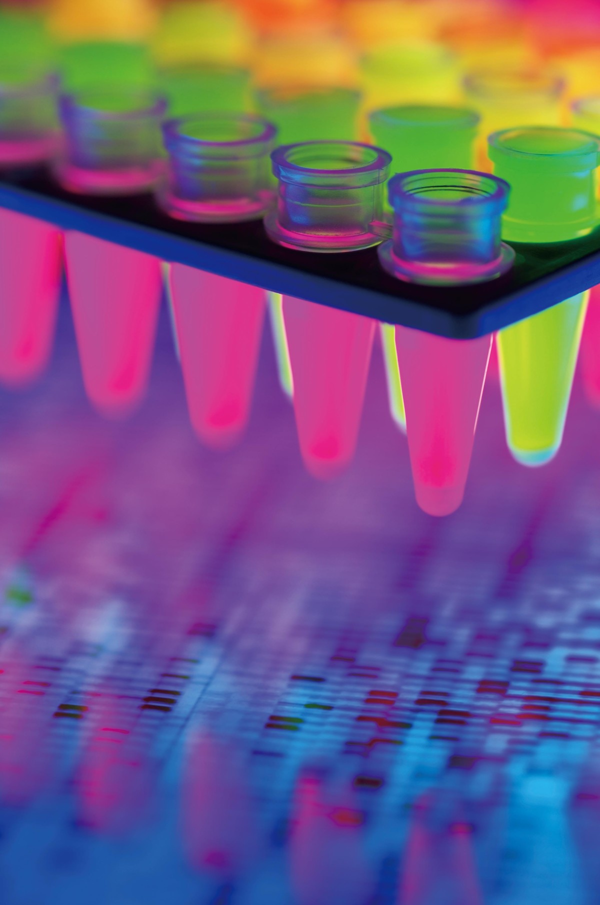 Improving the accuracy of genetic sequencing