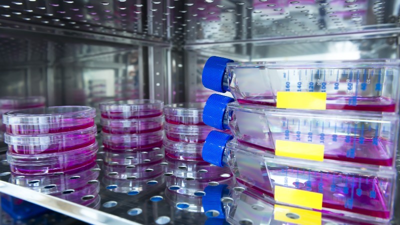 A safe haven for reproducible experiments