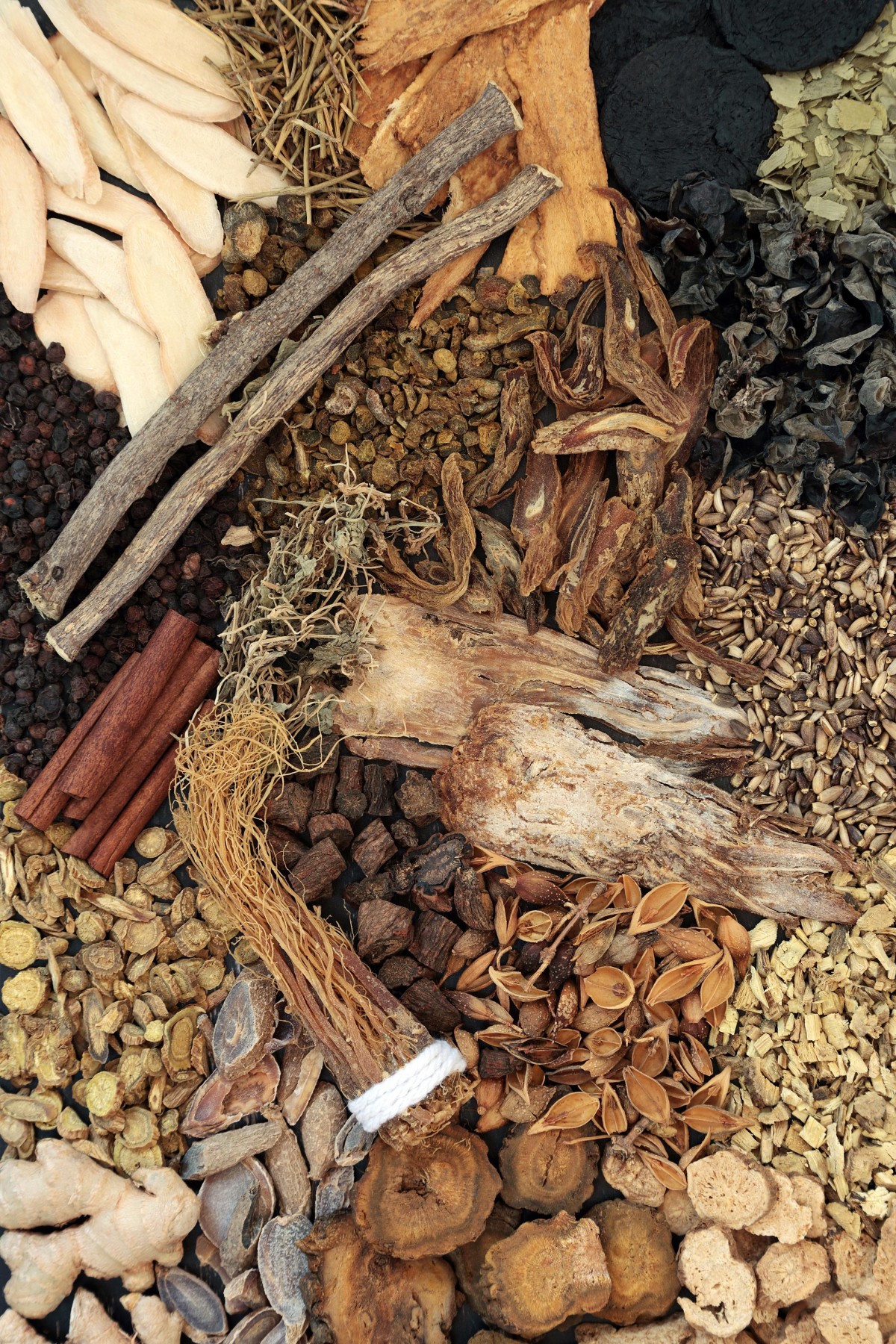 Revitalizing the science of traditional medicinal plants