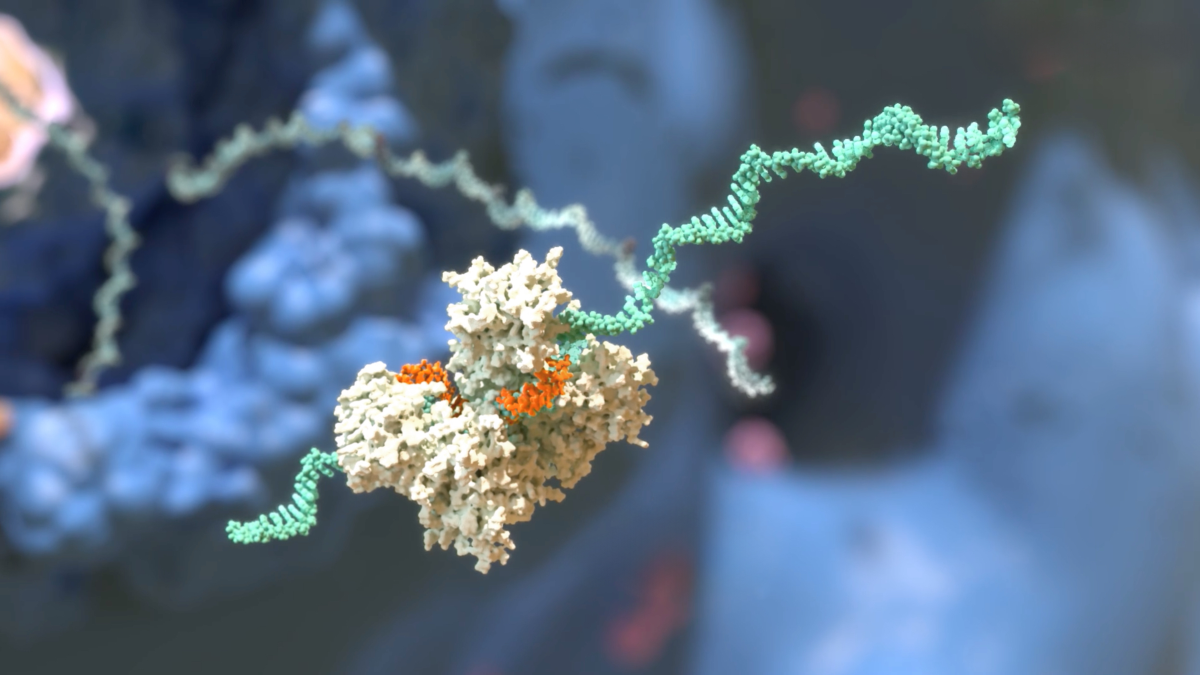 RNAi therapeutics are disrupting disease