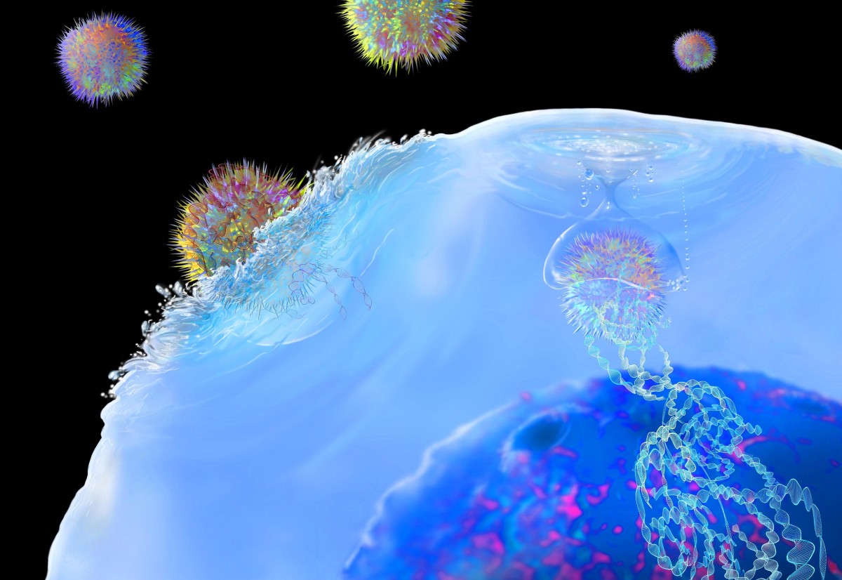 Training immune cells to catch up with cancer