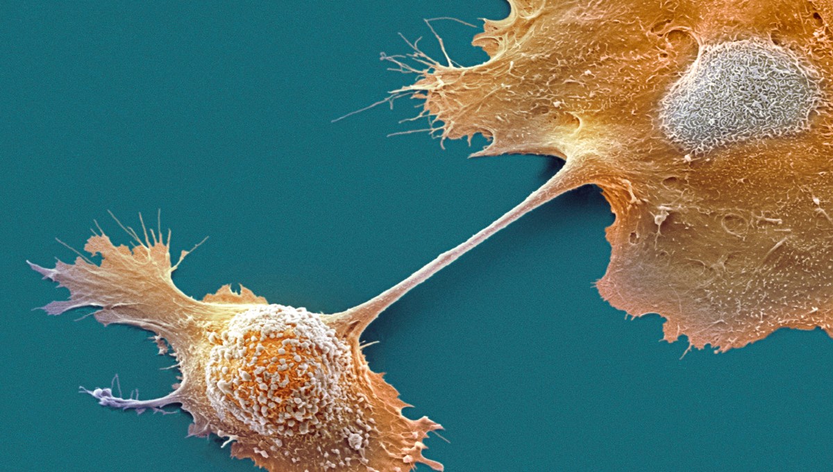 Tumour profiling offers new clinical trial options