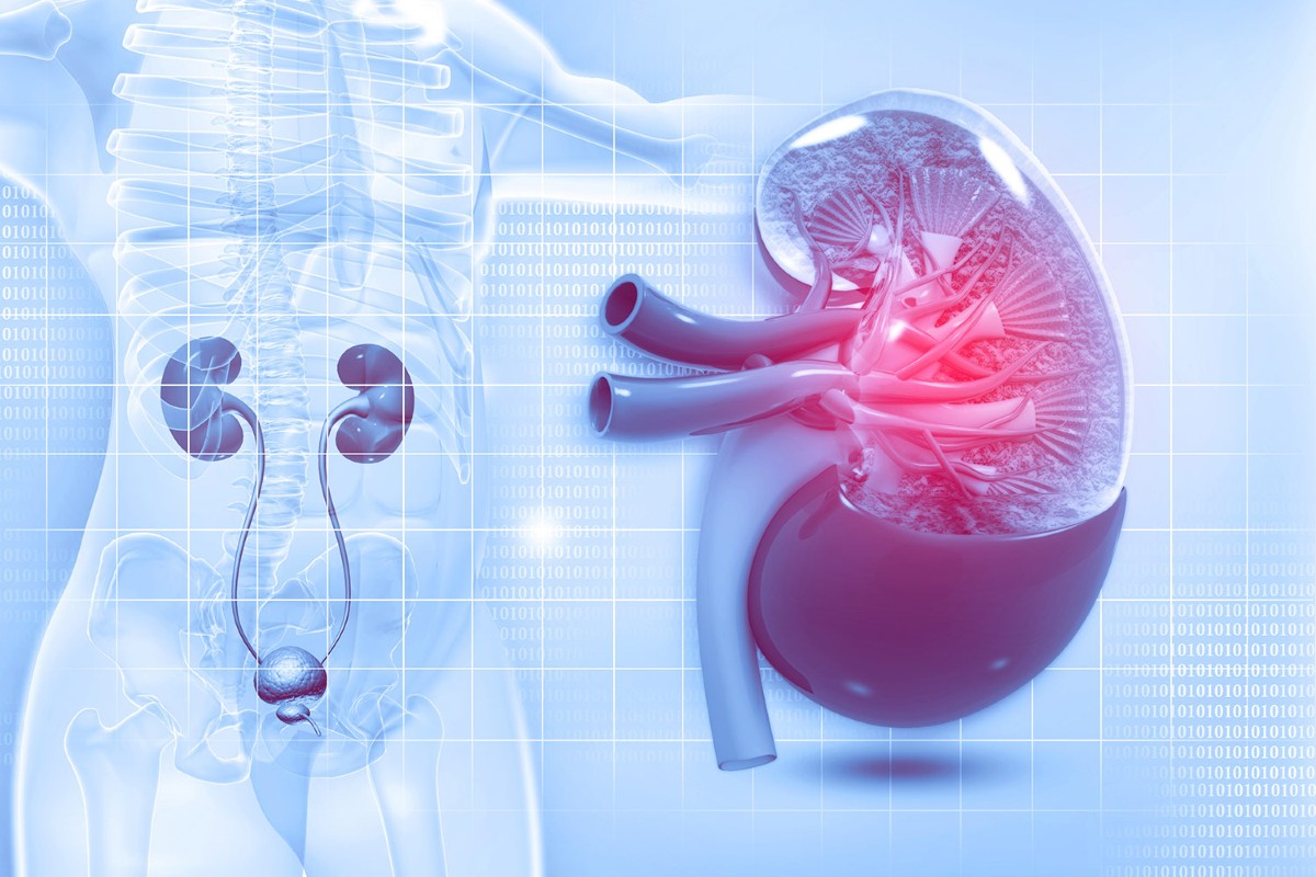 Shaping the digital future of urology