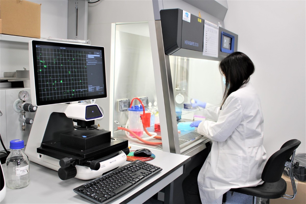 The translational gap: bridging basic research, clinical practices and society