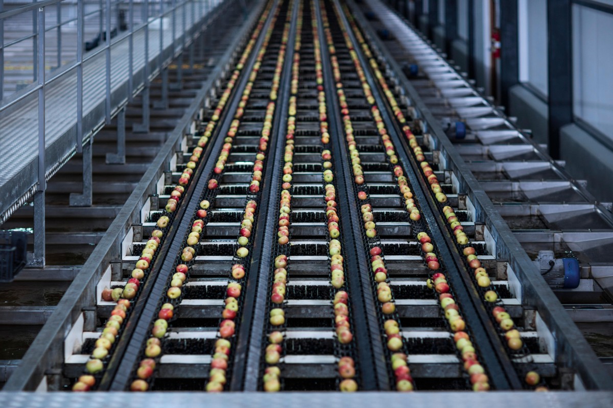 Fruit production that benefits the Earth and human health