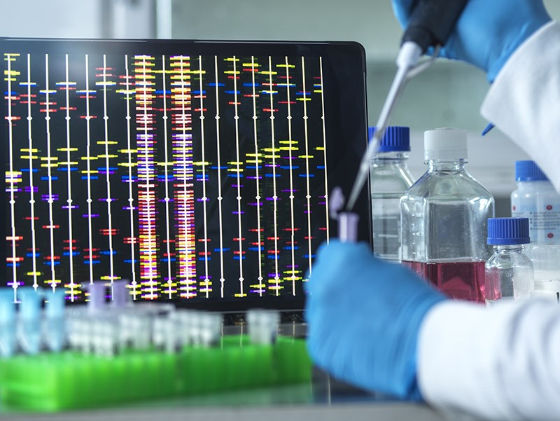 One Health: An interconnected approach in the face of climate change