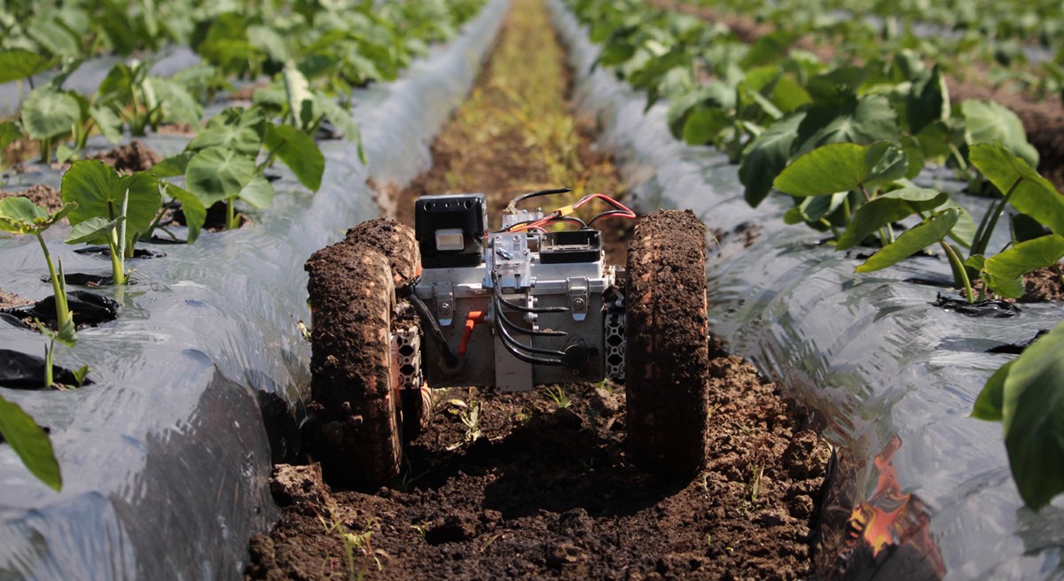 How robots could help revive rural economies
