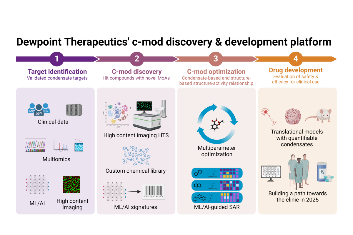 Dewpoint Therapeutics’ vision for biomolecular condensates to ...