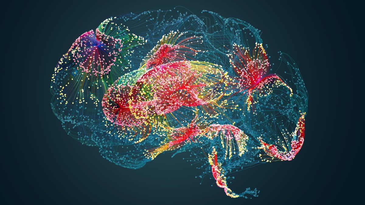 Spatial biology brings Alzheimer’s disease into sharper focus