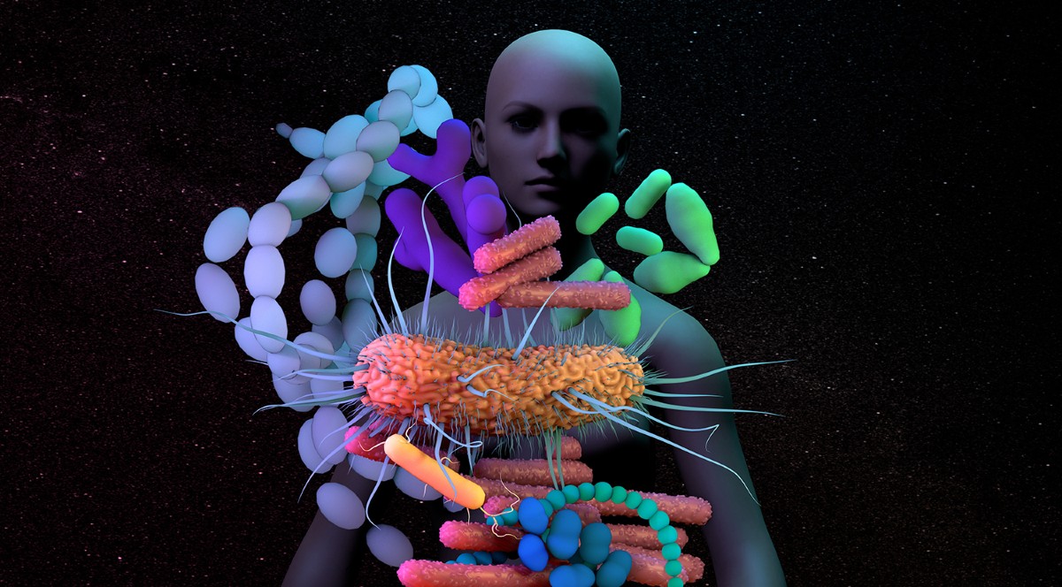 From microbes to medicines