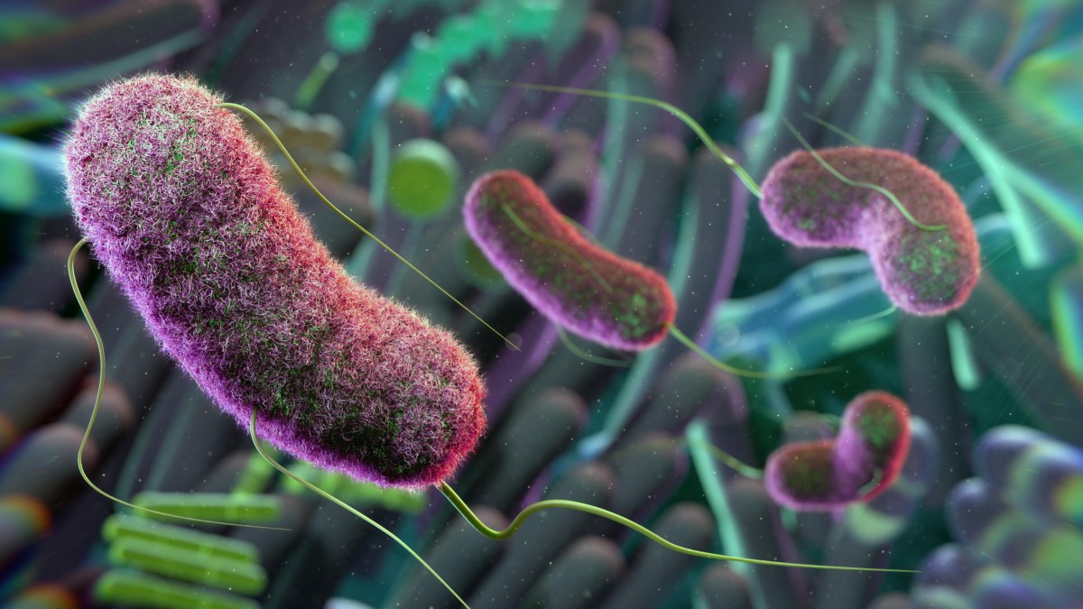 Living medicines: microbes and cells join forces in therapy