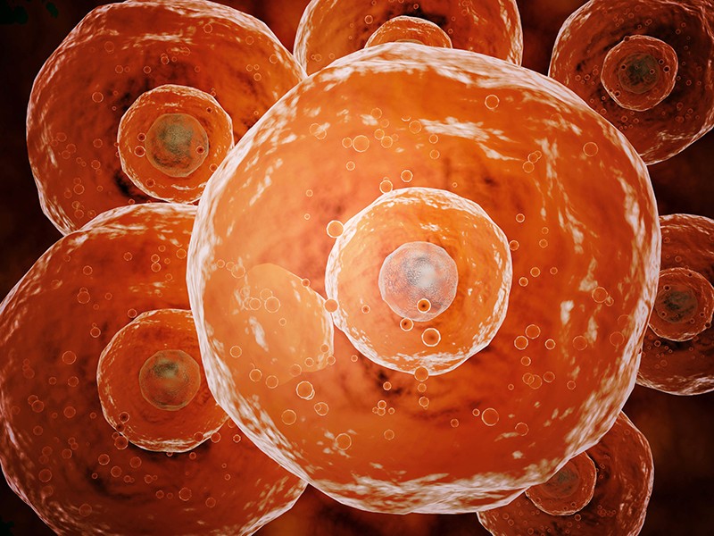 Targeting B cells leads to breakthrough therapy