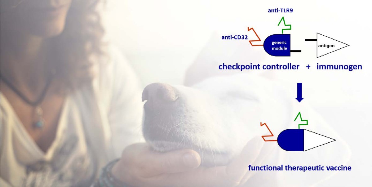 Next-generation animal health vaccines