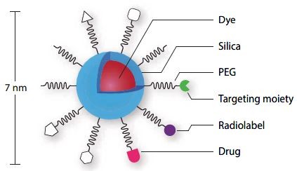 Elucida Oncology: leading the way in cancer theranostics