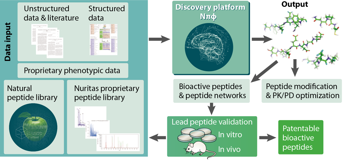 Rapid and unrivalled AI enabled peptide discovery