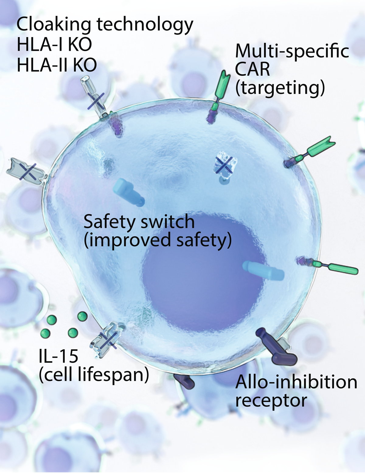 Engineered stem cells power expansive range of cancer therapies