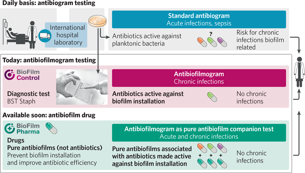 Breaking through the matrix of antibiotic resistance