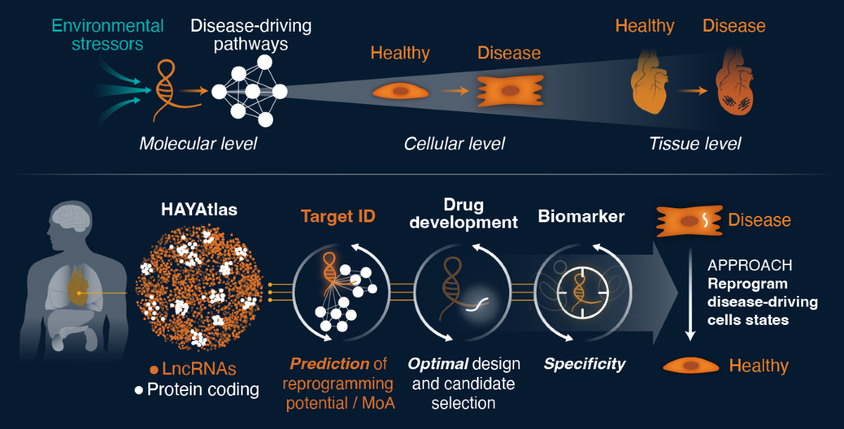 Reprogramming the software of the cell to fight disease