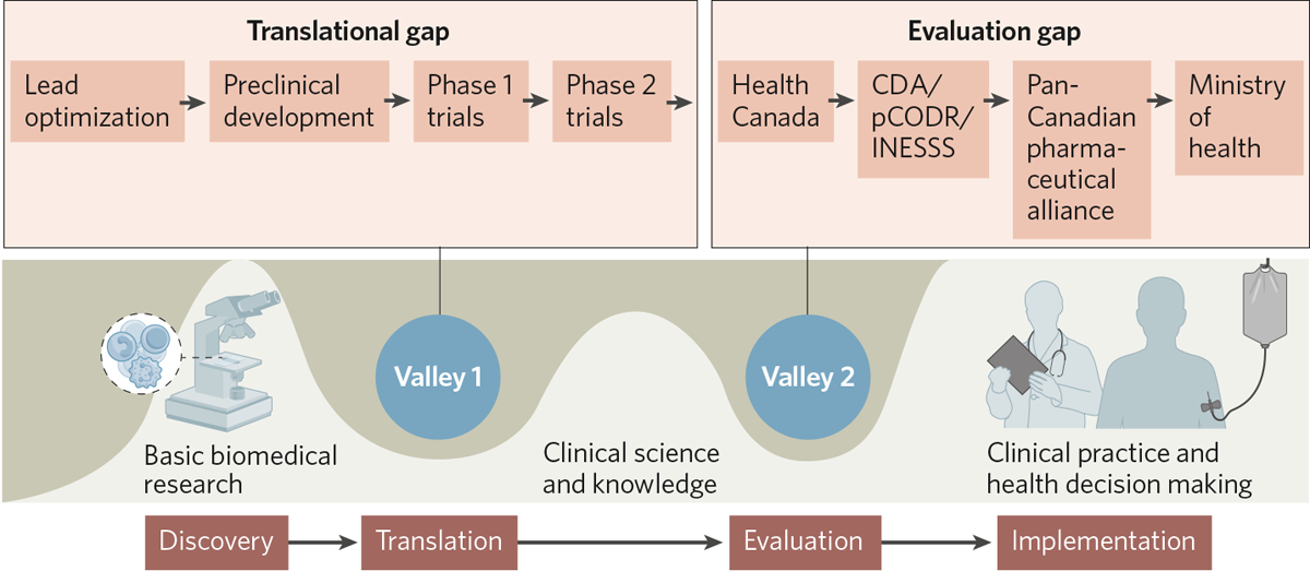 Making cancer curable: delivering on the promise of immunotherapy