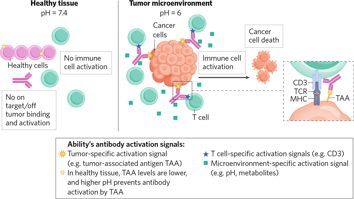 Logic-gated immune engagers for precision biotherapeutics