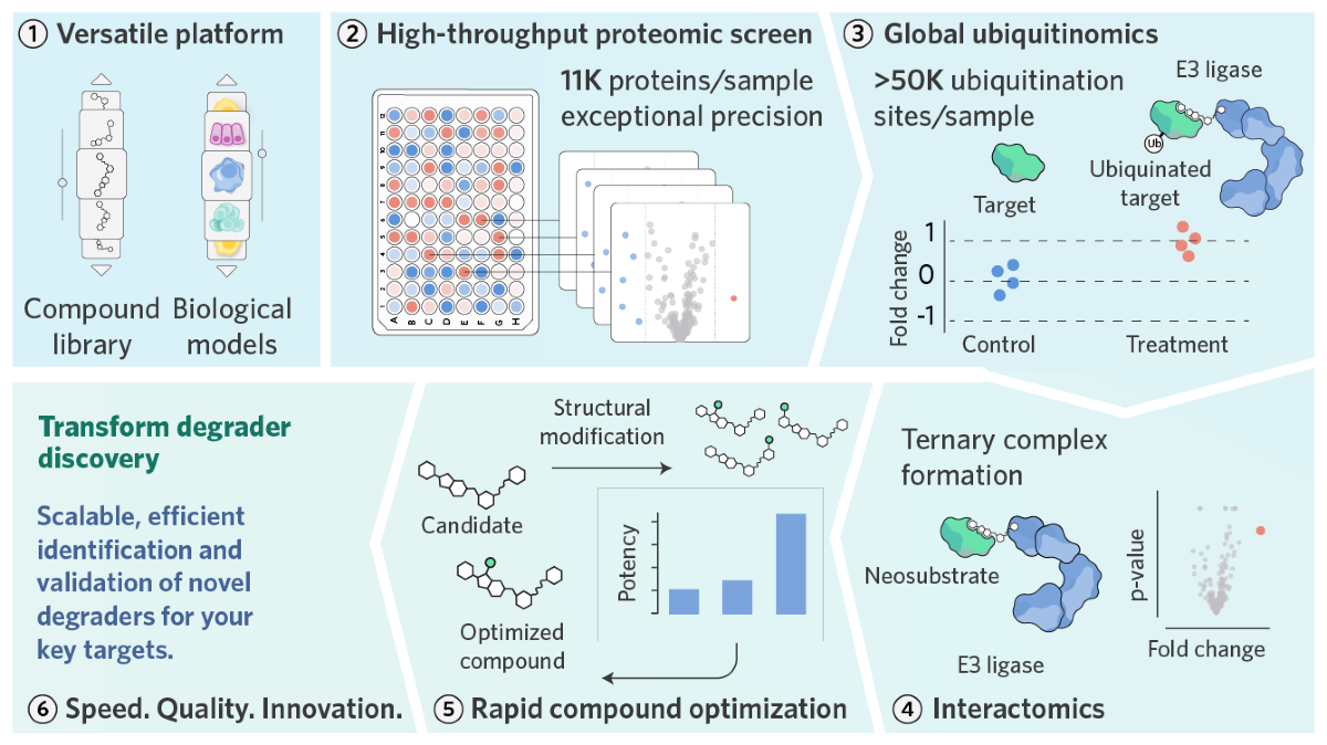 High-throughput proteomics is identifying molecular glue degraders at scale
