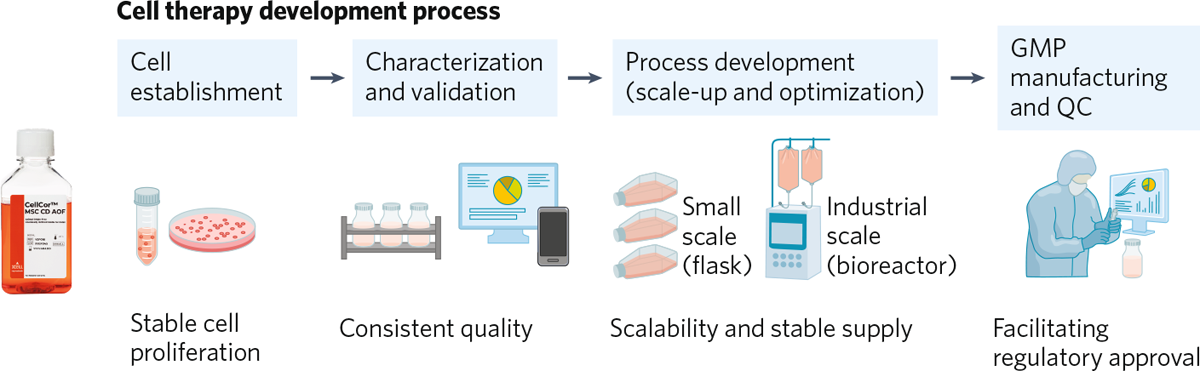 A standardization engine for advancing cell and gene therapy manufacturing