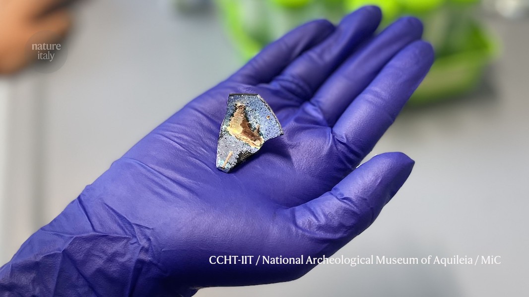 Un sofisticato materiale ottico che si nascondeva nella polvere