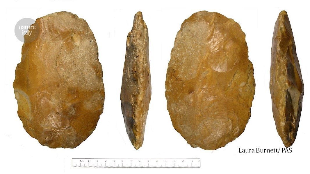 The surprising toolbox of the early Homo erectus