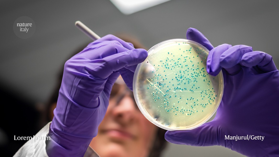 An AI system helps microbiologists identify bacteria