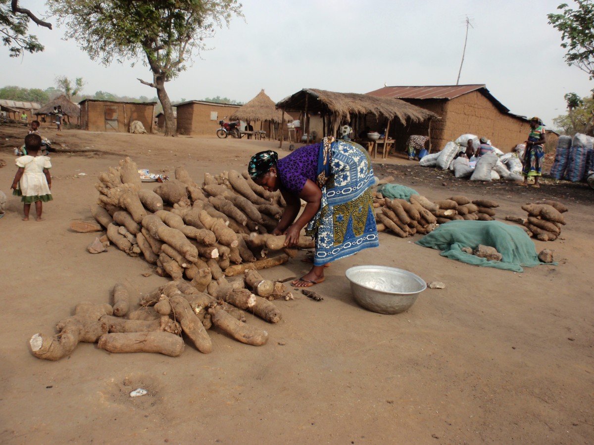 Seed wraps protect yams from parasites