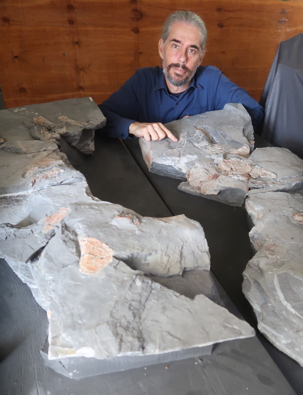 A 30-year puzzle reveals giant prehistoric killer