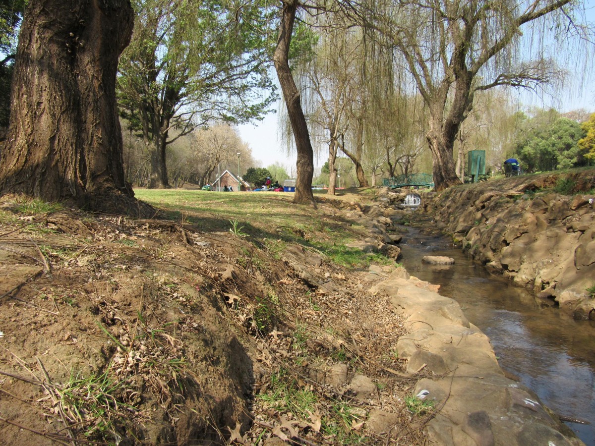 La plus grande étude sur les mousses met en évidence leur rôle vital ...