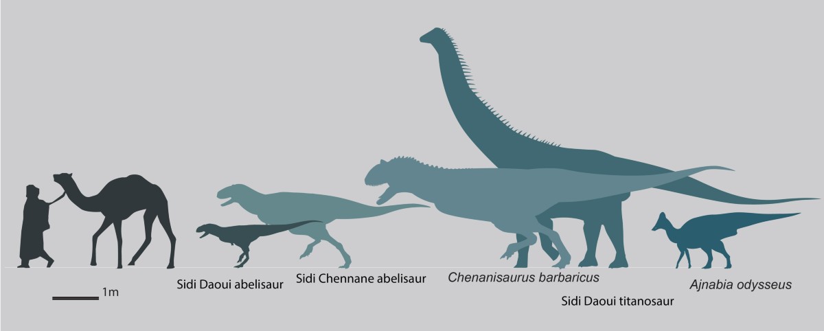 New dinosaur fossils shed light on prehistoric diversity