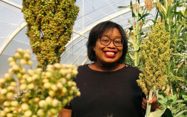 I grow climate-smart indigenous crops