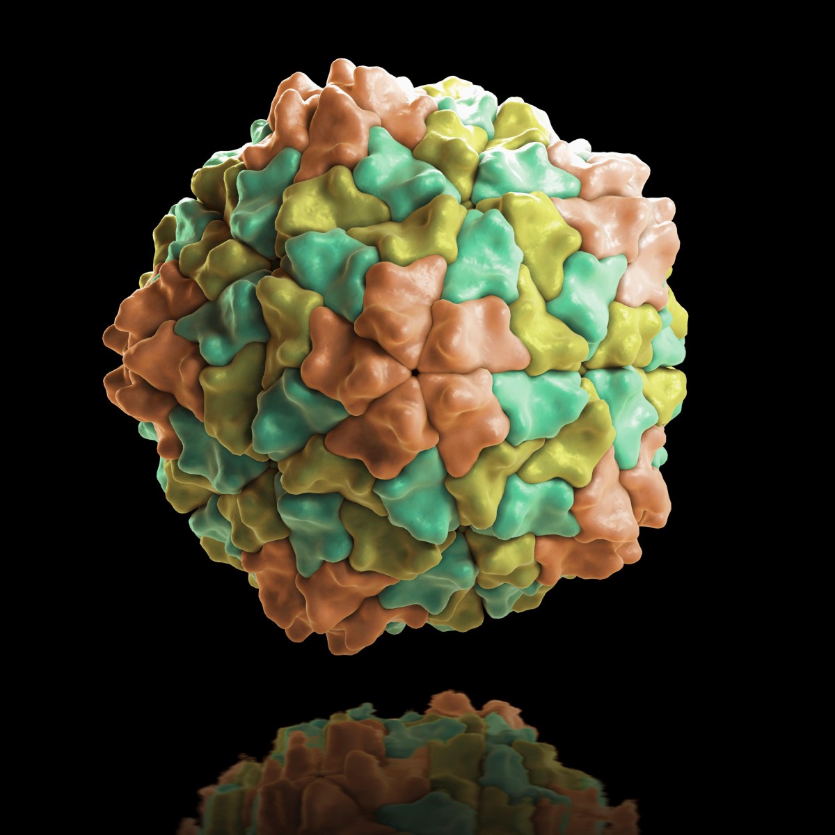 De nouvelles lignées de riz offrent une protection contre un virus mortel