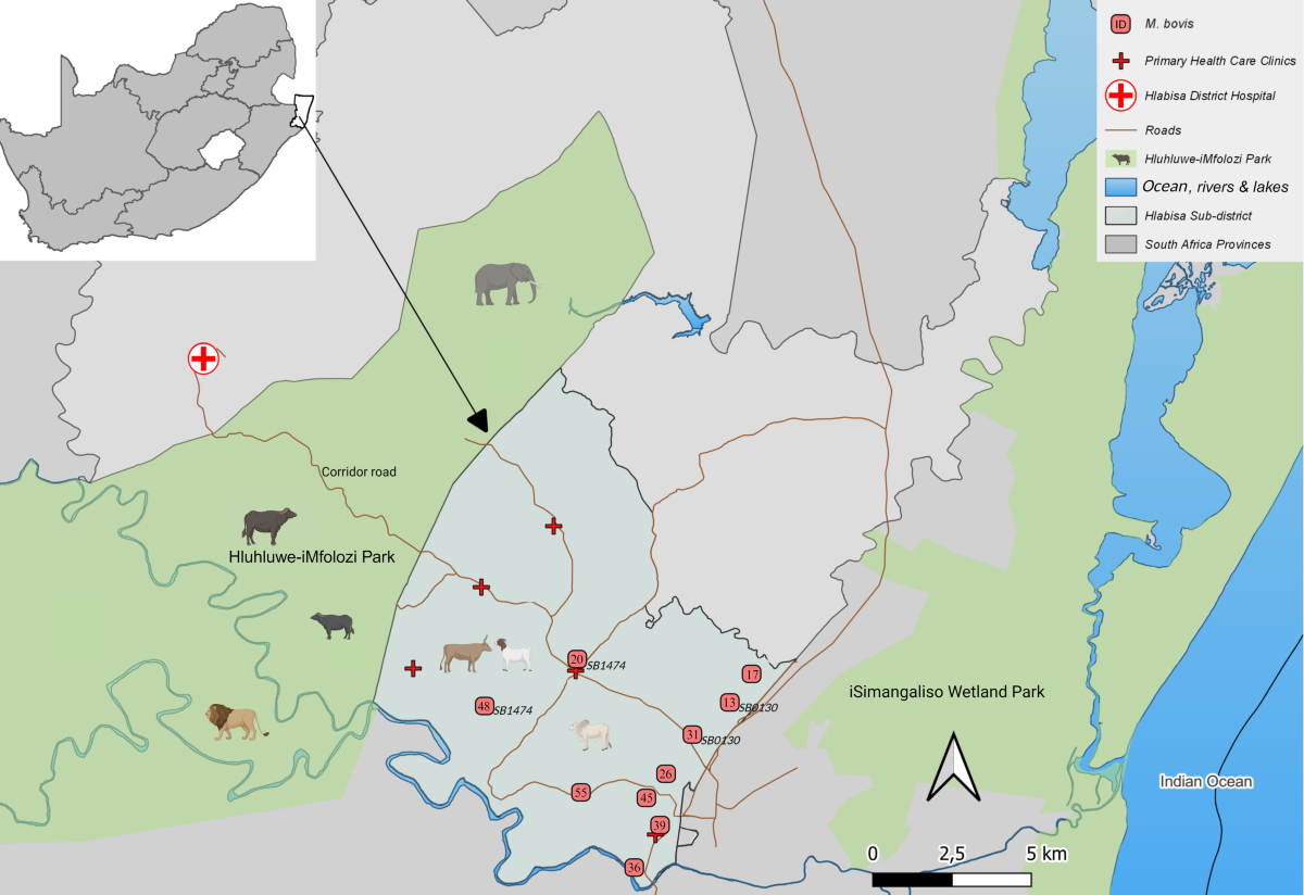 Researchers detect first cases of zoonotic TB in human sputum samples ...