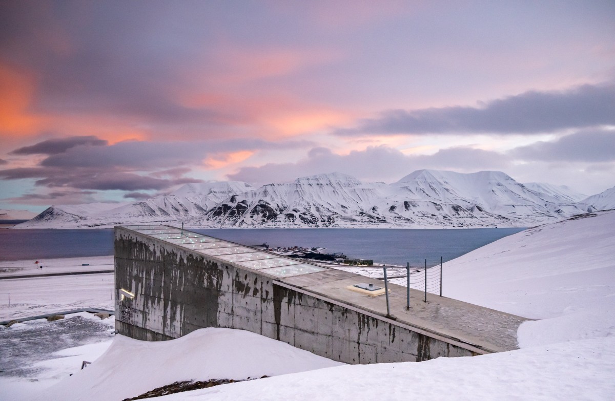 Baobab and acacia trees among latest African deposit in the Svalbard ...