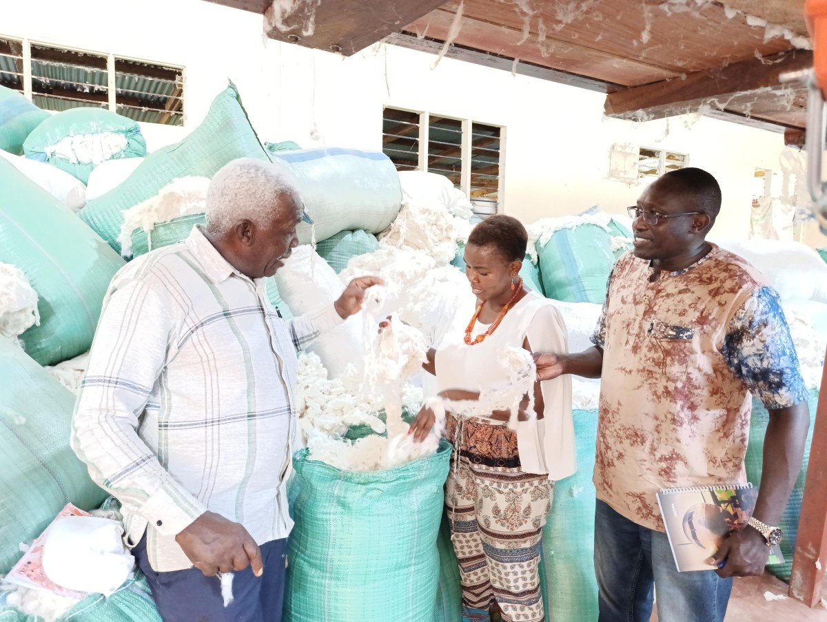 Le coton Bt améliore les rendements au Kenya, mais le prix des semences ...